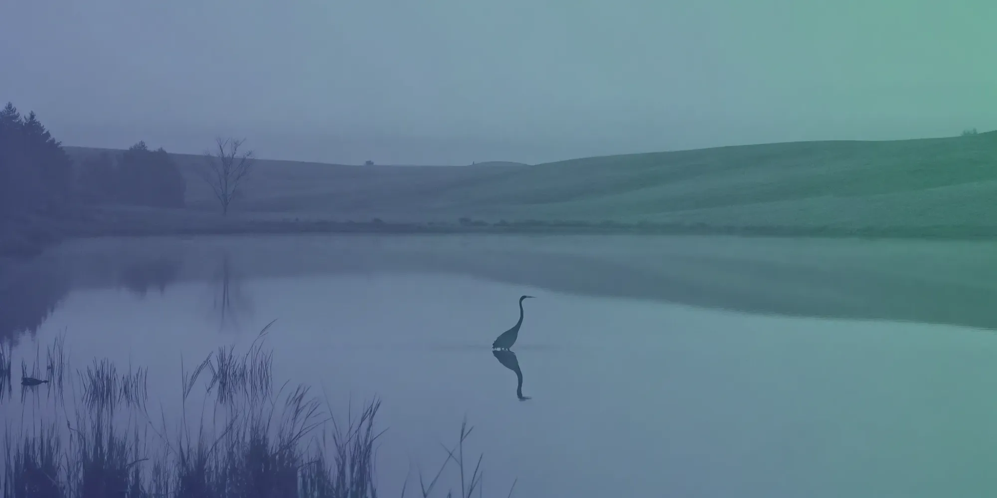 Kubernetes Basics: Your 2025 Guide to Orchestration